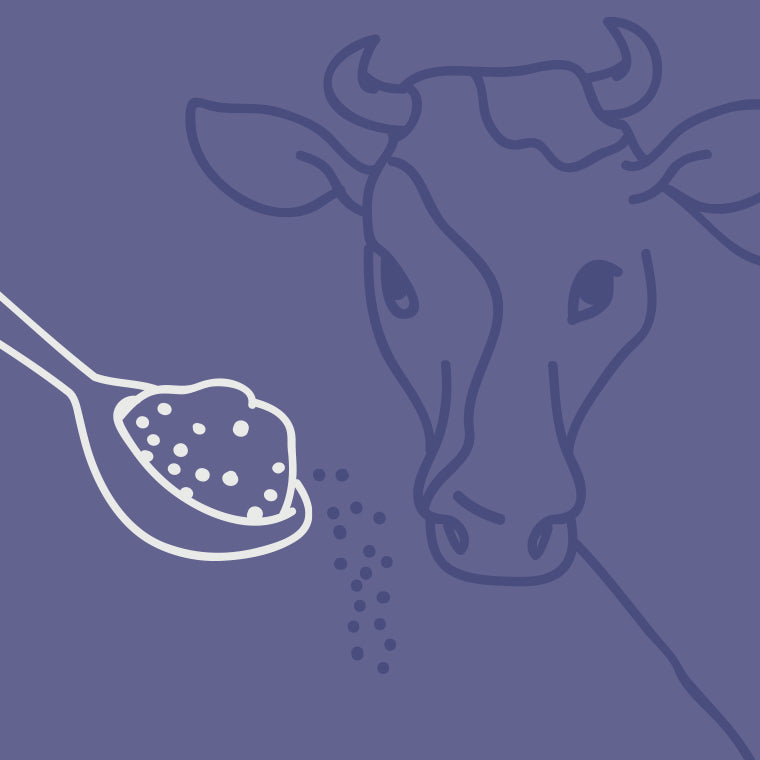 How to Make - EasiYo USA